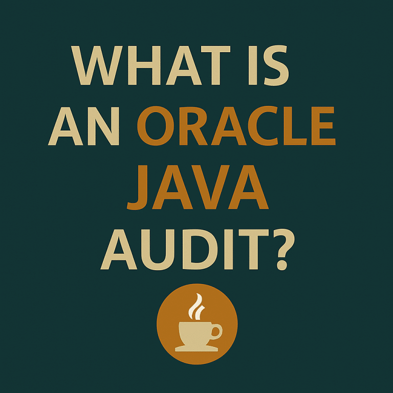 What is an Oracle Java Audit?